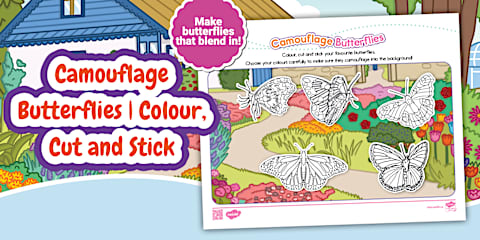 Life Stages of a Ladybug Diorama Labelling Activity