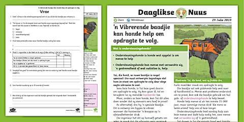 Senior Fase - Afrikaans - Leesbegrip: Koerantberig - Werkkaart (KABV-belyn)