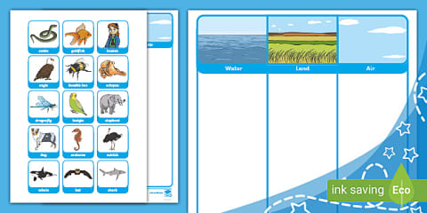 Animal Homes Picture Quiz