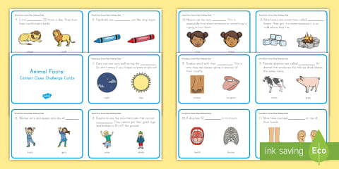 Structures Built by Animals Set 2 STEAM Play Ringed Challenge Cards