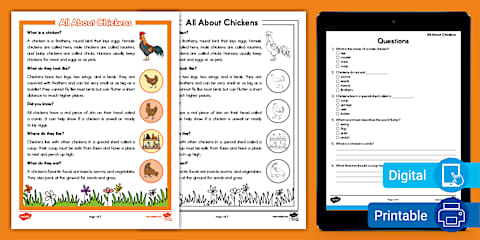 Second Grade Chicken Life Cycle Reading Passage Comprehension Worksheet