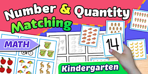 Number and Quantity Matching Cards 1-20