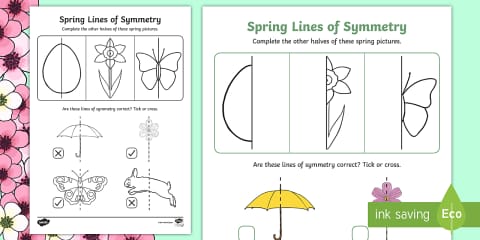 Grade 3 Math: Line of symmetry (all directions)