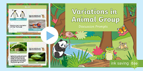 Grouping Animal Classes Game