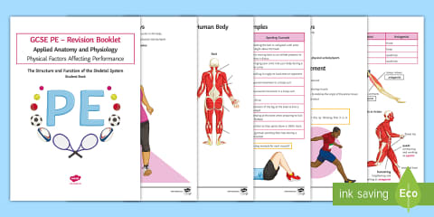 Muscle Labelling Activity - Resource | Muscular System Label
