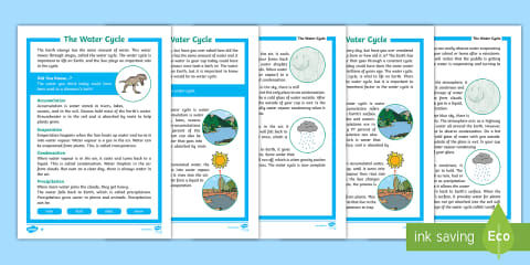 Fifth Grade How Water Moves Through Earth's Systems Reading ...