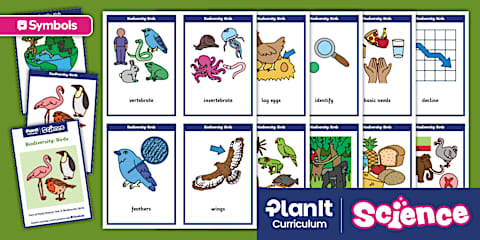 M4–19: Convert from 24-Hour Times | Time | Maths | Year 4