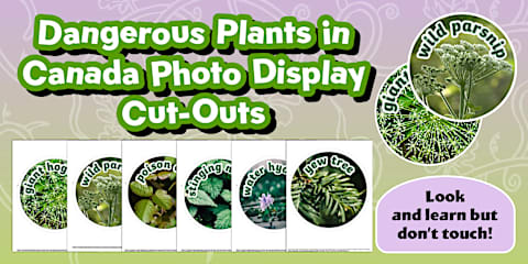 Ant Colouring Bookmarks