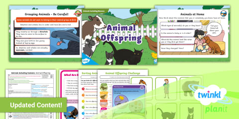 Science: Animals Including Humans Year 2 Planning Overview