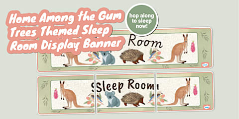 Wild Sketchbook Themed Patterns in Nature Display Poster