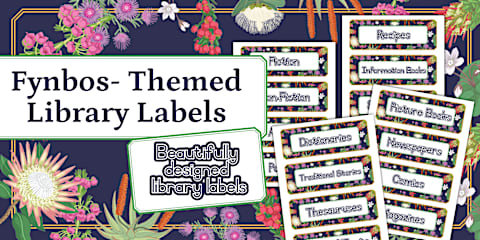 Foundation Phase - Beaches in South Africa - Instant Photo Style ...