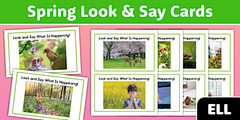 Spring Scene and Question Cards for K-2nd Grade