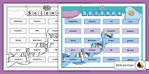 Tier 3 Life Science Vocabulary Interactive Word Mat Activity for 3rd ...