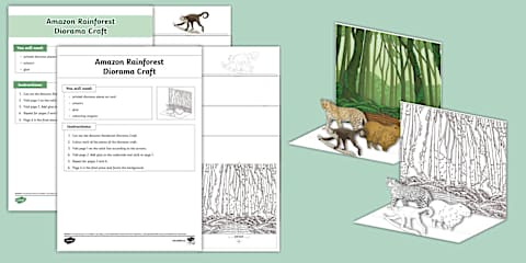 Deforestation in the Amazon Rainforest Assembly