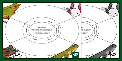 Amphibians Leaflet Template