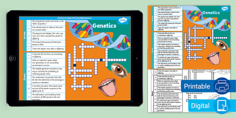 Introduction to DNA Differentiated Crossword