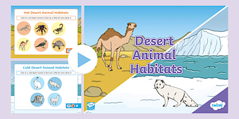 Desert Animals Fact File Sheets