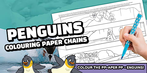 Jobs Hexagon Display Colouring Activity