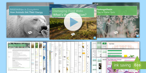 Ecosystems Reading Comprehension (Ages 5 - 7)