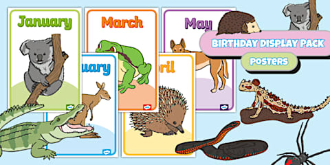Australian Animals Birthday Graph Display Pack