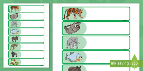 Editable Jungle and Rainforest Tray Labels
