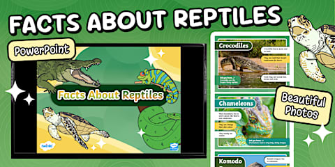 Reptiles Photo PowerPoint
