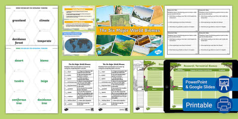 Biomes Graphic Organizer