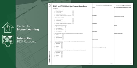 Comparing DNA and RNA Worksheet