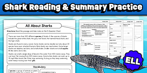 Testing Tips Anchor Charts for ELL | WIDA ACCESS