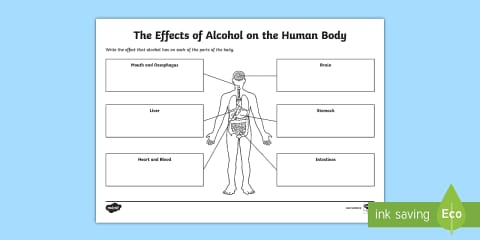 CfE Second Level Short-Term Effects of Alcohol Worksheet