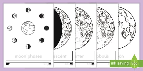 Second Grade All About the Moon Phases PowerPoint & Google Slides