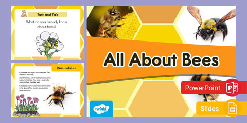 Pollination PowerPoint & Google Slides for K-2nd Grade