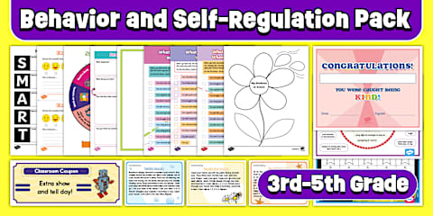 Behavior Reflection Worksheet for Special Education