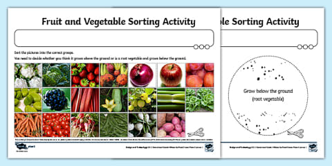 Fruit and Vegetables Sorting Activity