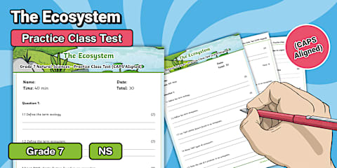Grade 7 - English Home Language - Term 3 - Language Quiz (CAPS Aligned)
