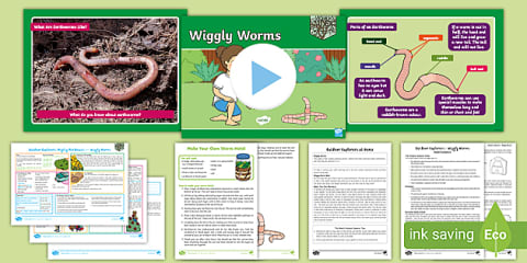 Worms Reading Comprehension Activity