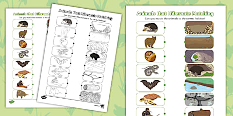 Where Do They Hibernate? Cut and Paste Worksheet for PK-K