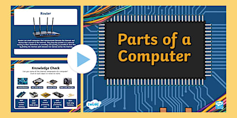Computer Input and Output Interactive Sorting Game