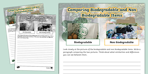Countable and Uncountable Nouns Odd One Out Worksheet