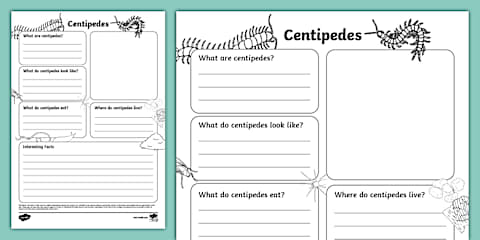Parts of a Centipede Labelling Activity