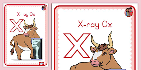 Grade R Phonics - Term 4 - x sound - Sound Character Poster (CAPS Aligned)