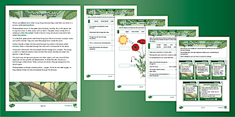 Photosynthesis Light intensity Sample Question