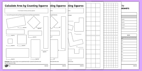 Year 4 Measurement: Finding Area Lesson 1