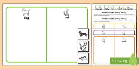 Identical and Nonidentical Matching Cards and Sorting Mats for Special ...