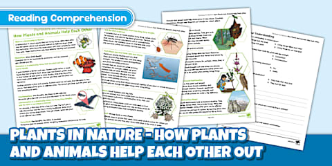 Plants and Animals and Their Relationships PowerPoint Lesson