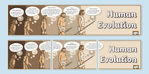 Human Evolution Display Cut Outs - human, evolution, display