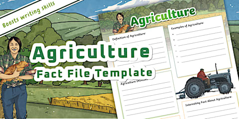 Zebra Fact File Template