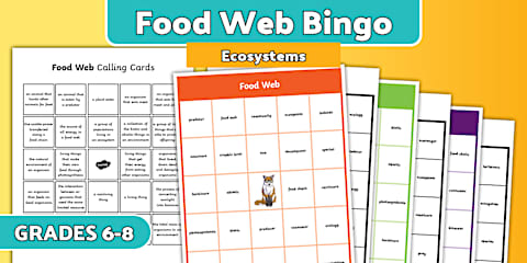 Ecosystem Vocabulary Matching and Word Search for 6th-8th Grade