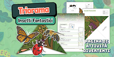 Piramide Alimentare Powerpoint