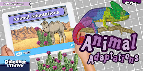 STEM (Living Things) Animal Adaptations Research Activity